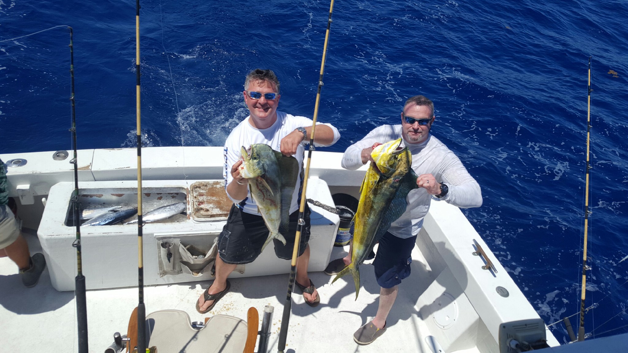 June Fishing Forecast | Captain Moe's Lucky Fleet